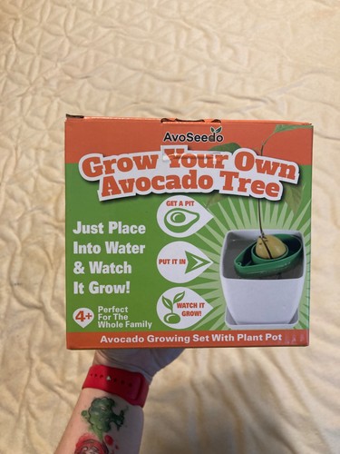 AvoSeedo Grow Your Own Avocado Tree Kit | eBay