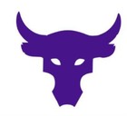 Project Rock Bull -Decal Logo Sticker | eBay