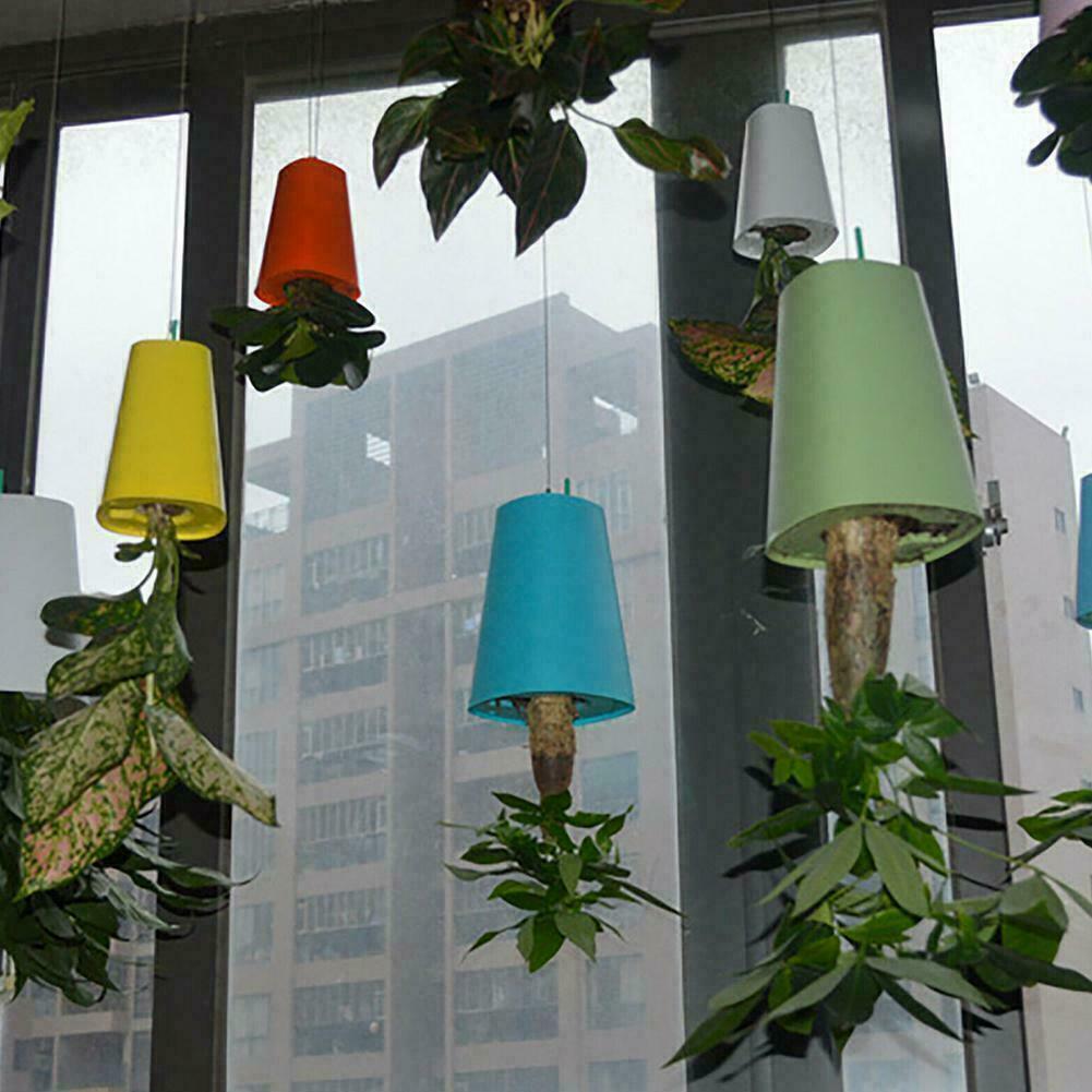 Upside Down Herb Garden Container 9 Ways To Grow Tomatoes From Ground