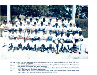 SPRING 1981 WORLD SERIES CHANPIONS LOS ANGELES DODGERS TEAM 8x10 PHOTO ...