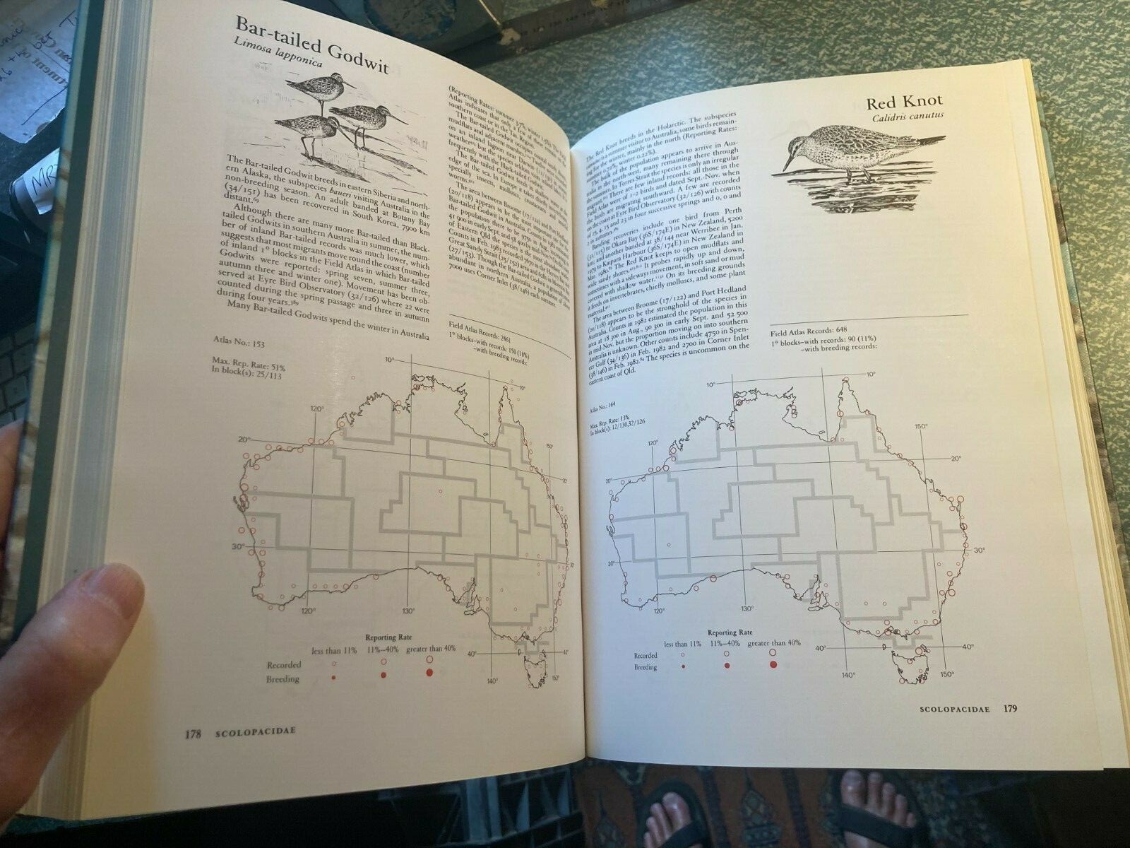 The Atlas of Australian Birds by etc., Margaret Blakers, S.J.J.F ...