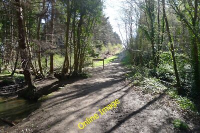 Photo 6x4 On the 1066 Country Walk through Great Wood Battle/TQ7416 One ...