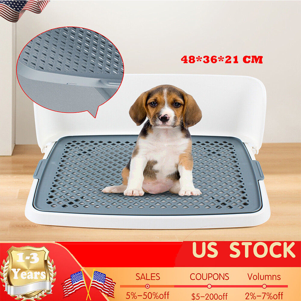 Animal Trainer Potty