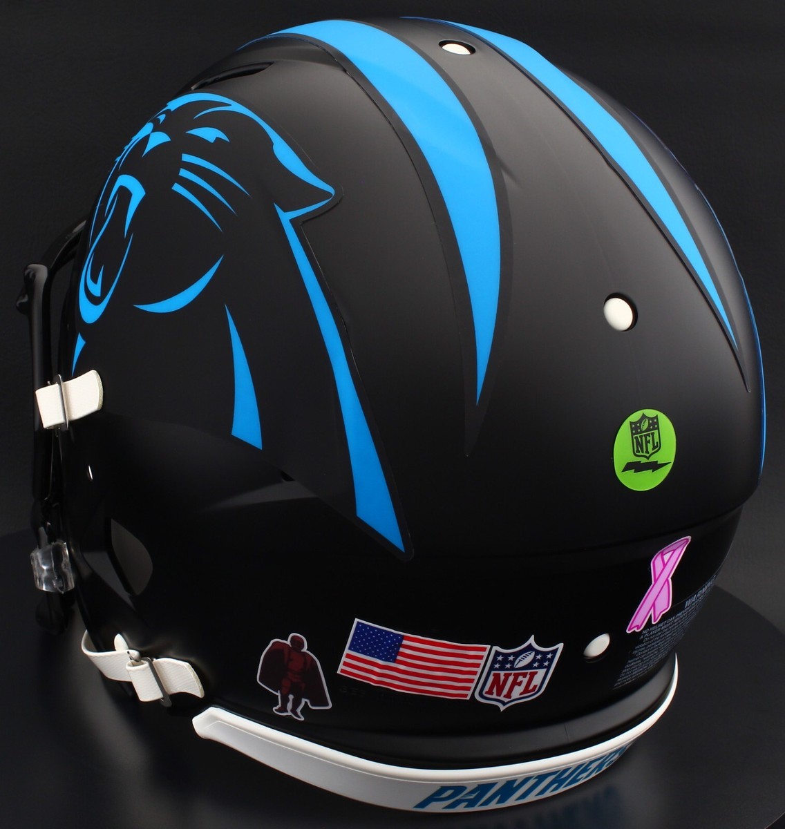 Carolina Panthers Motorcycle
