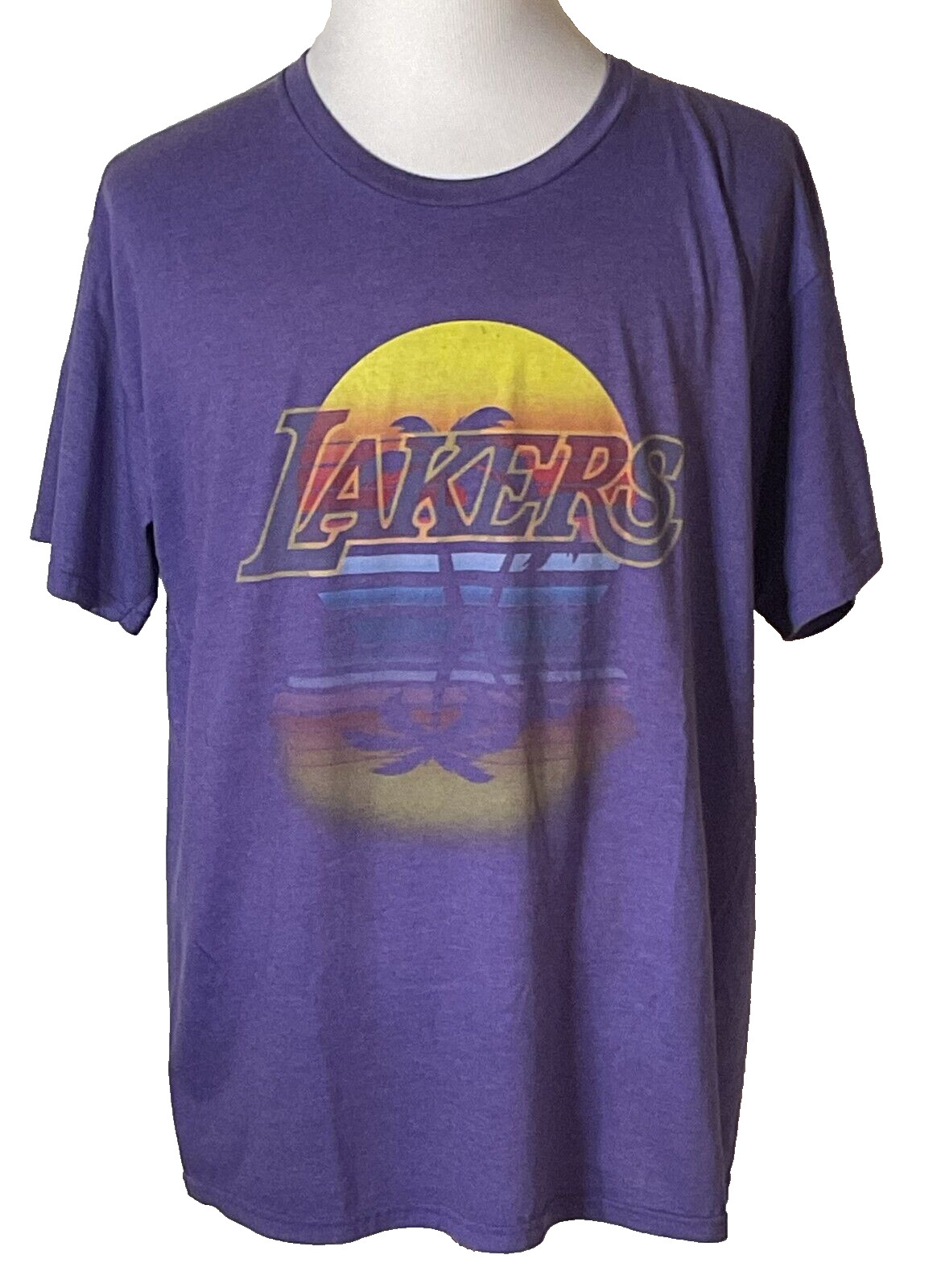 Vintage NBA LA Lakers Logo with Palm Tree Reflection … - Gem