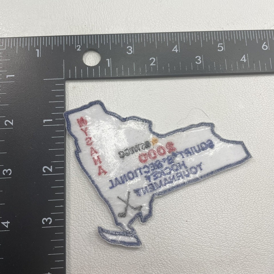 NYSAHA OSWEGO NEW YORK SQUIRT B SECTIONAL HOCKEY TOURNAMENT Patch 29SC ...