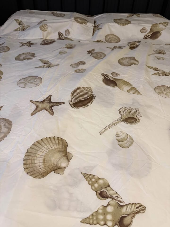 Pottery Barn Seashell KING Duvet Cover Set. 2 Euro Shams. RARE | eBay