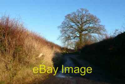 Photo 6x4 Farm Track Near Yetminster This track is just north of Folly ...