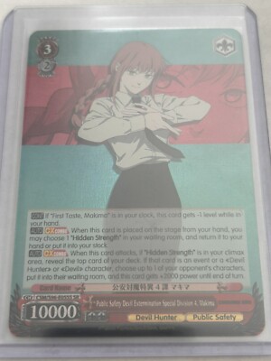 Public Safety Devil Extermination Special Division 4, Makima CSM/S96 ...