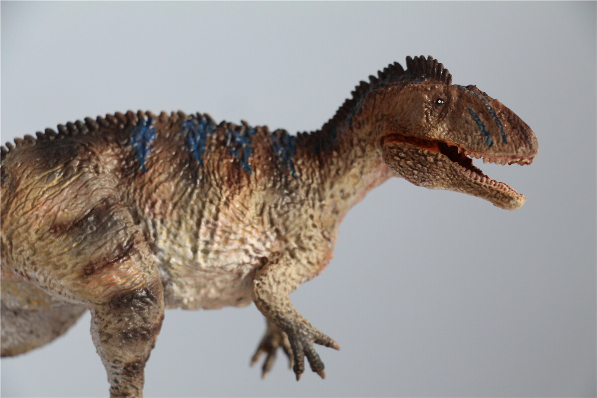 Vitae 1/35 Sinraptor dongi Statue Theropoda Dinosaur Animal Collector ...