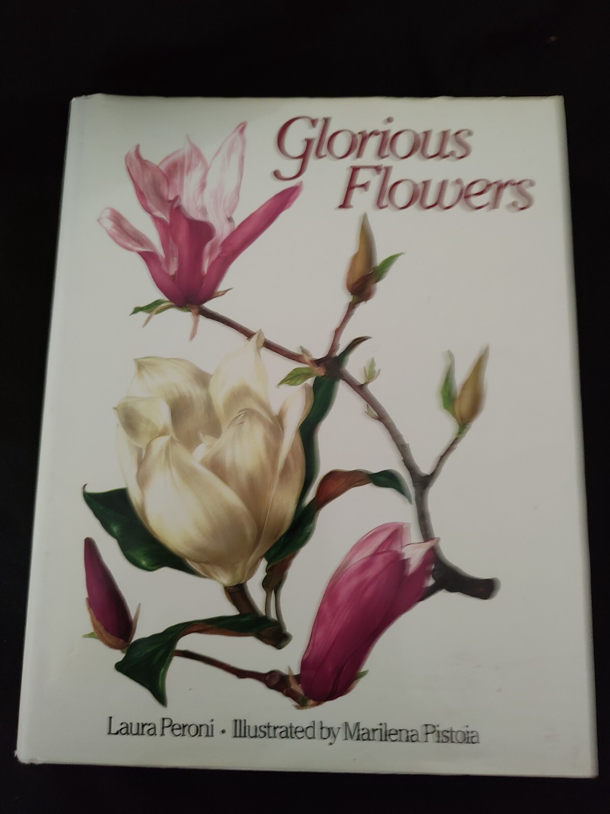 Peroni Flowers | Best Flower Site