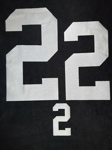 Raiders Silver Authentic Tackle Twill Numbers 12", 10", 4" NFL Jersey ...