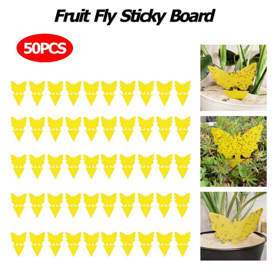 10-100Pcs Sticky Fruit Fly Traps, Fungus Gnat Killer Trap use Indoor ...