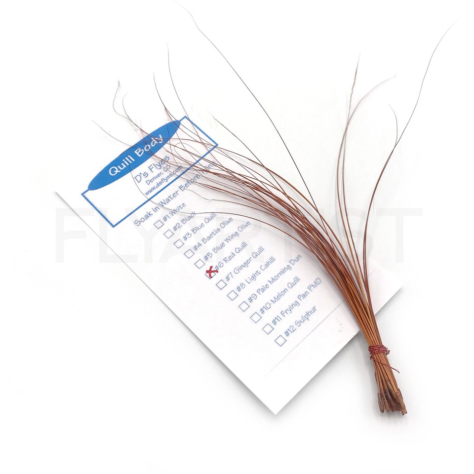 QUILL BODY - Fly Tying Material Ribbing BWO Rib Bodies D's Flyes - 25 ...