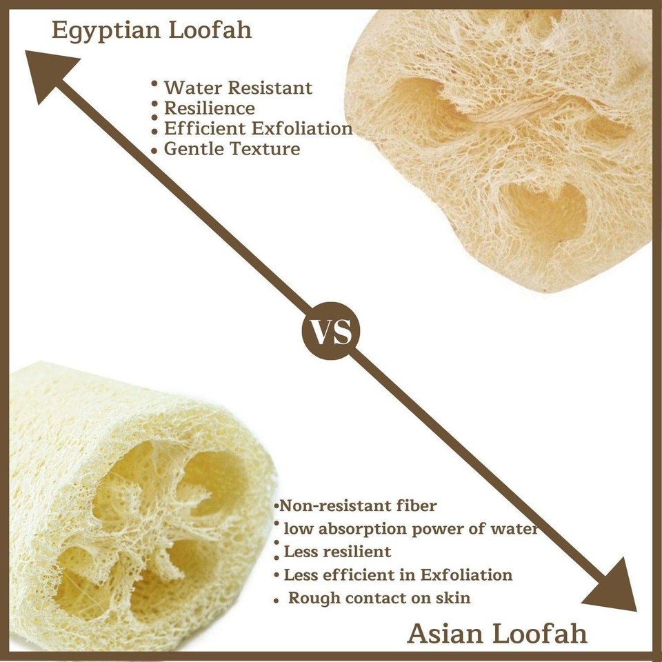 One Whole Egyptian Loofah 100% Natural SPA Beauty Bath Sponge Body ...