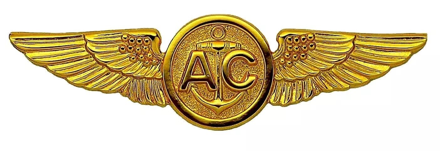 USN Aircrew Wings Badge Pin USMC Marine Coast Guard Gold Plated US Navy ...