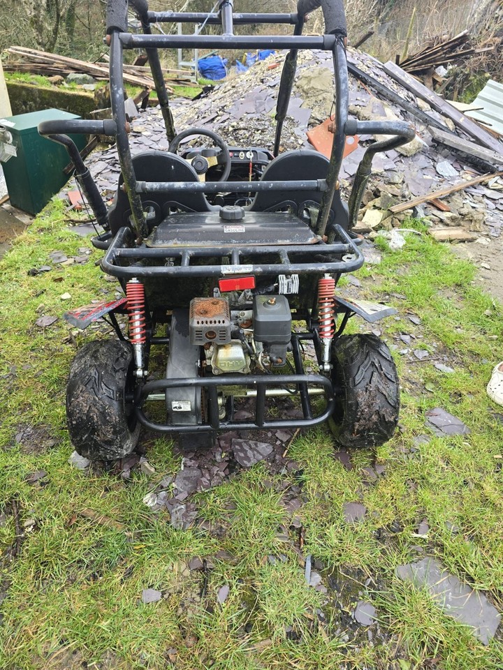 Quadzilla Wolf XL buggy - Off Road Buggy - Quad | eBay UK