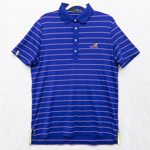Ralph Lauren RLX Galloway Embroidered Size Medium Blue/Pink Striped ...