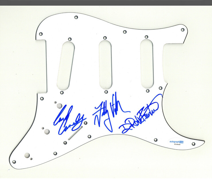 THE RODS SIGNED AUTOGRAPH GUITAR PICKGUARD ACOA DAVID FEINSTEIN METAL ...
