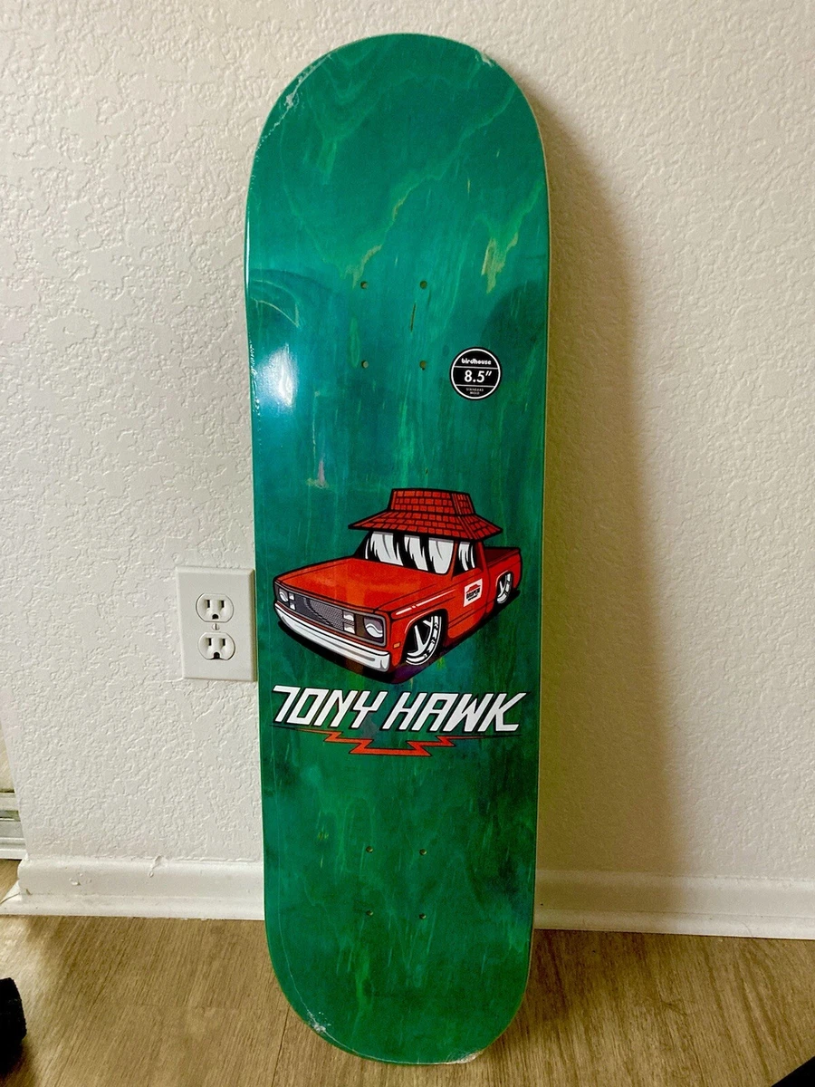 Gleaming The Cube Tony Hawk