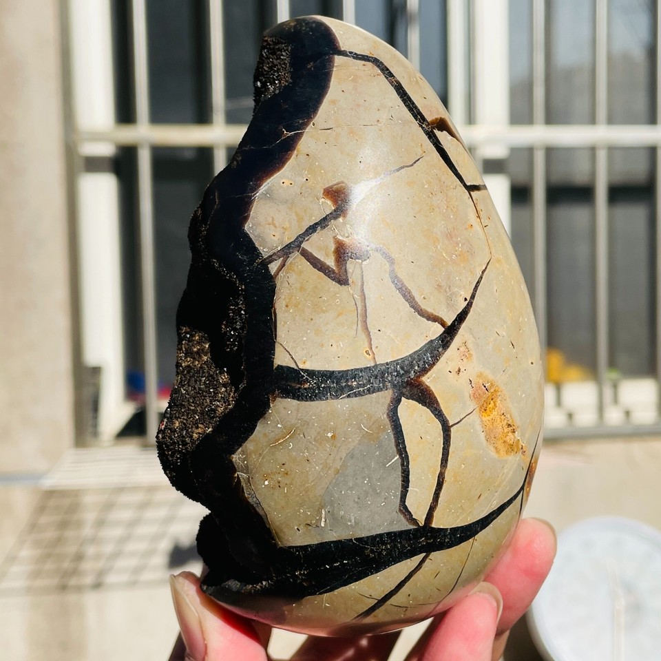 1174g Large Natural Dragon Septarian Septarium Crystal Egg Geodes ...