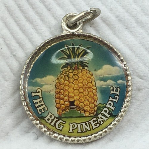 The Big Pineapple QLD Queensland Australia Round Travel Souvenir Charm Bracelet | eBay Australia
