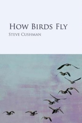 How Birds Fly 9780999787304| eBay