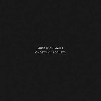 Nine Inch Nails Ghosts VI Locusts 12x12 Album Cover Replica Poster ...