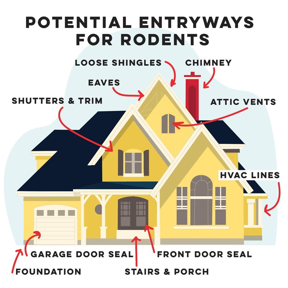 Xcluder Rodent Control Fill Fabric, Large DIY Kit, Stainless Steel Wool ...