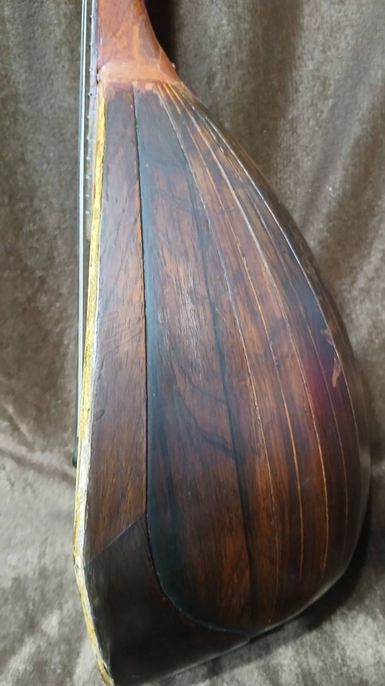 *UNIQUE*12 STRING PAINTED BOWLBACK MANDOLIN ** SEE VDO" | eBay