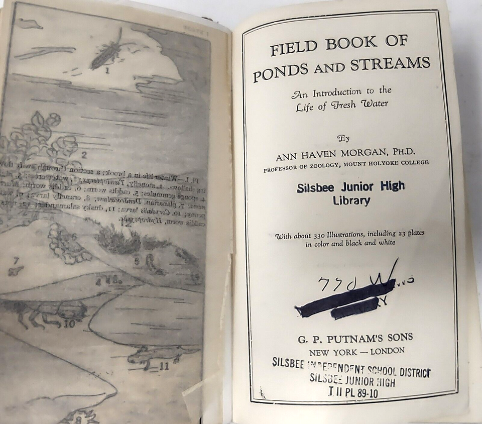 Putnam Field Book Of Ponds And Streams Ann Haven Morgan Sixteenth ...