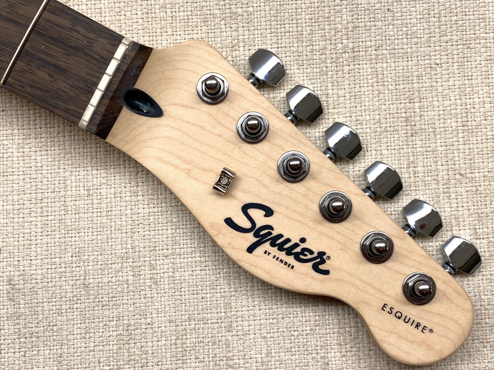 Genuine Fender Squier ESQUIRE NECK Laurel fits Tele / Telecaster ...