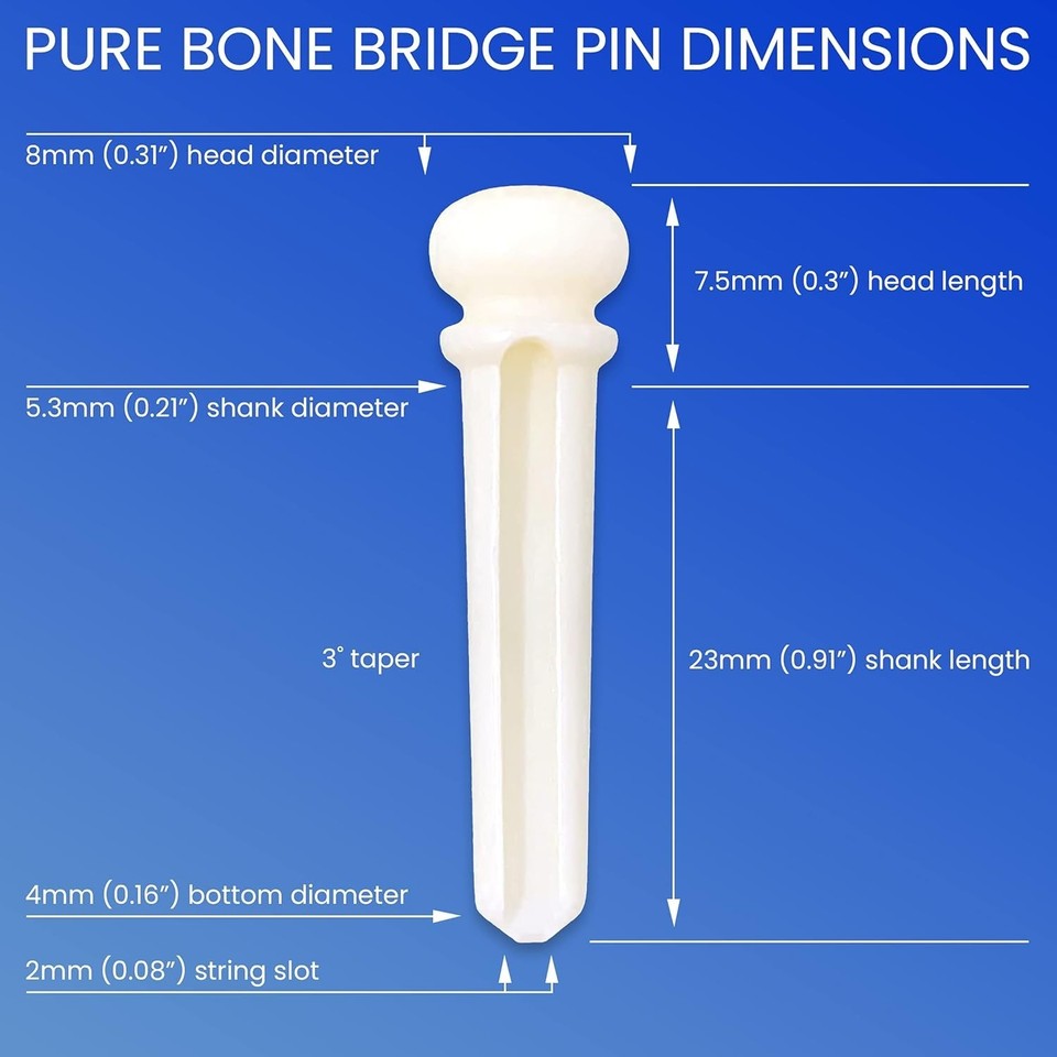 Enhance Tone with Slotted Pure Bone Bridge Pins & Abalone Dot for 6 ...