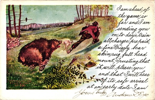 Comic Artist HH Tammen Grizzly Bear Chasing Man Antique 1906 Postcard ...