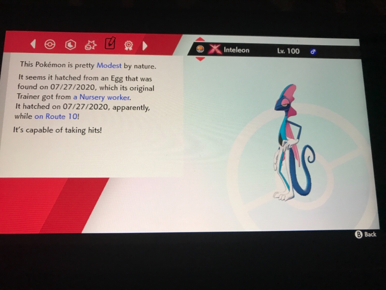 Buy Pokemon Sword And Shield Shiny GMAX Inteleon 6IV Battle Ready Fast ...