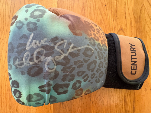 HILLARY SWANK AUTOGRAPHED CENTURY BOXING GLOVE "MILION DOLLAR BABY ...