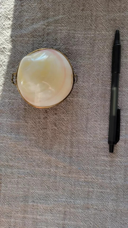 small clam shell jewelry box with gold trim | eBay