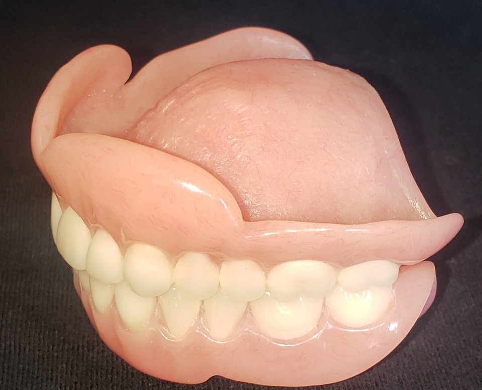 Denture Set Upper And Lower False Teeth Brand New | eBay