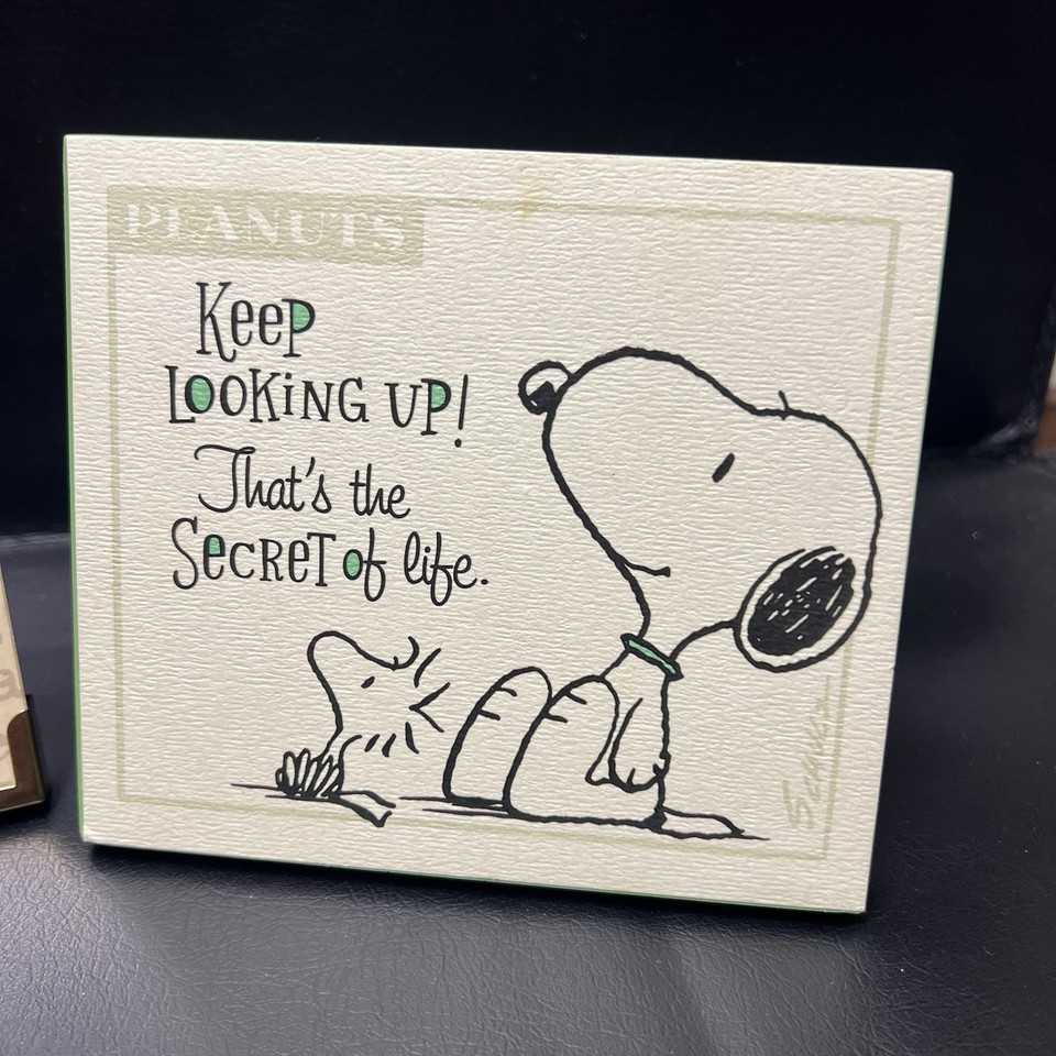 Retired Hallmark Peanuts Gallery "It Takes All Kinds" Comic Strip Frame ...