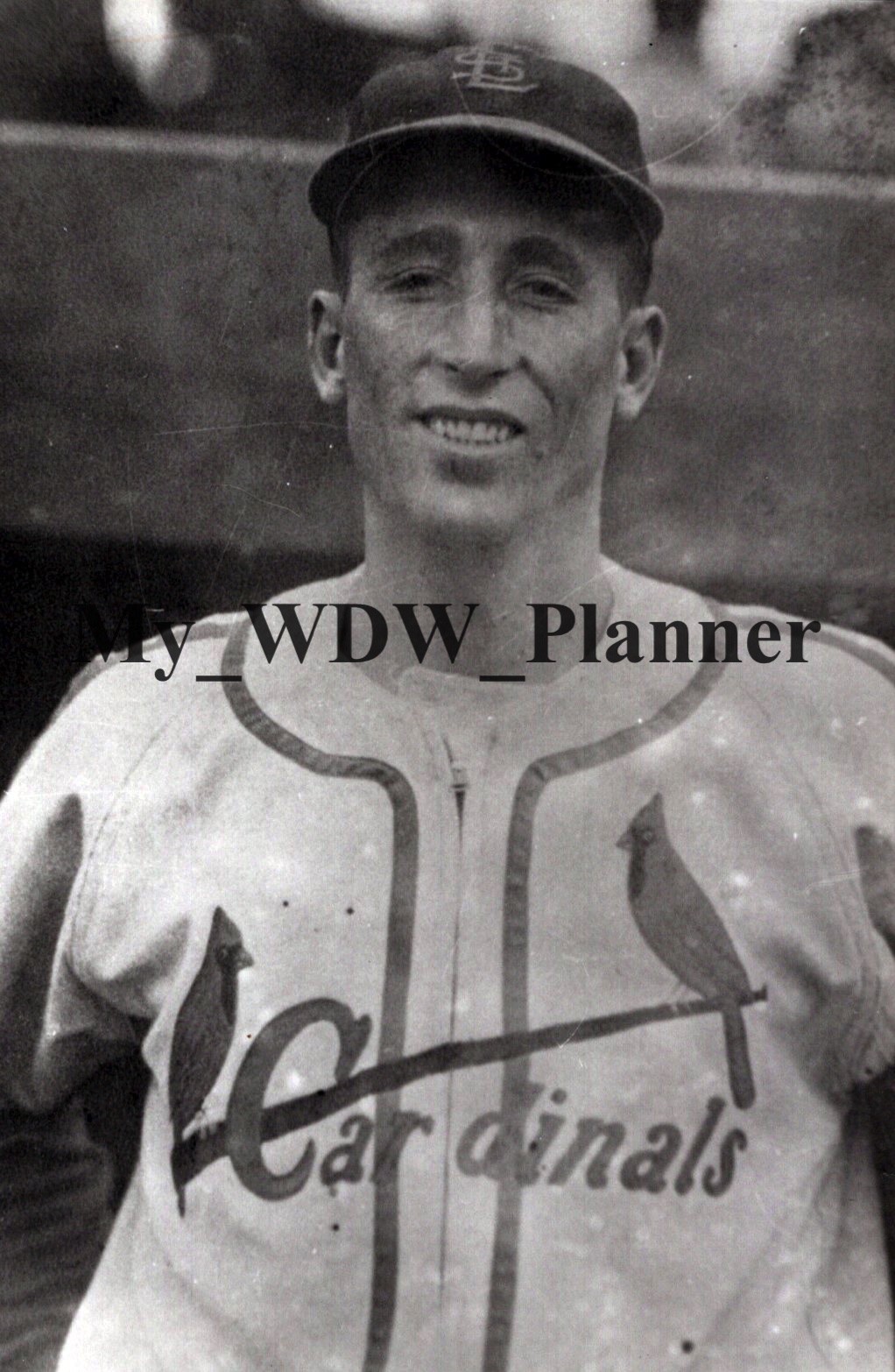 Vintage Photo 87 - St. Louis Cardinals - Bill Reeder | eBay