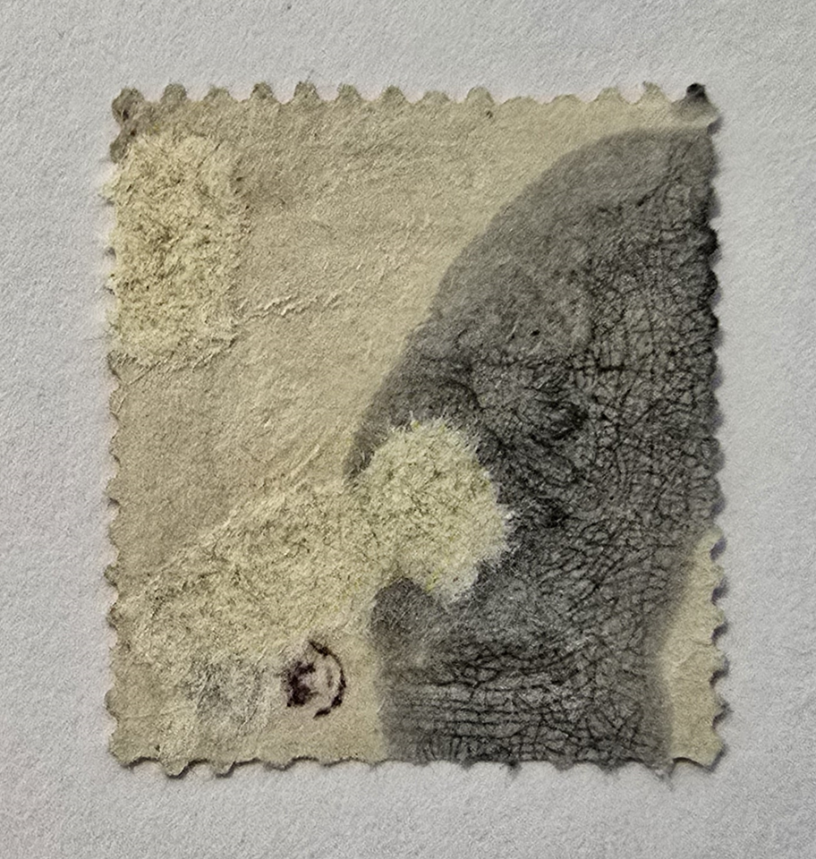 Germany Scott #26 ($2000) - A4 18kr bister - Used - Repaired, stain - F ...