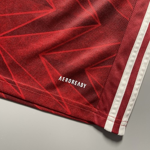 ARSENAL ADIDAS 2020/2021 FOOTBALL HOME JERSEY #10 MESUT OZIL SIZE “M ...