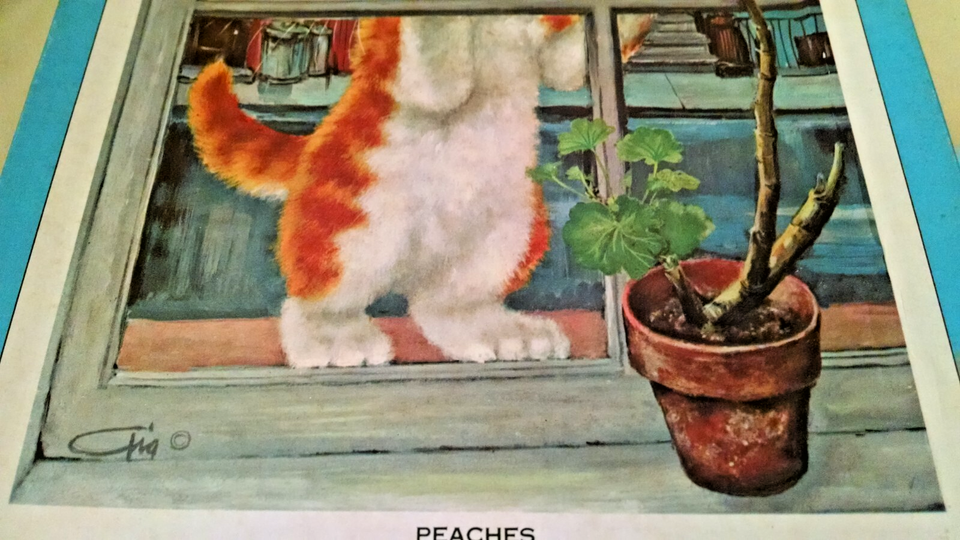 Big Eyes Puzzle Gigi Peaches Cat Kitten Milton Bradley 1968 #4894-6 500 ...