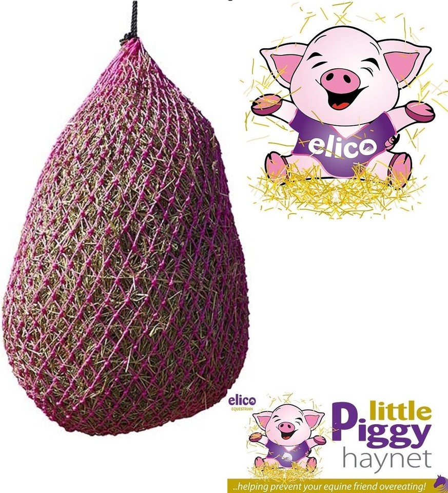 Elico Pink Little Piggy Slow Trickle Feed Very Small Hole Haynet ...