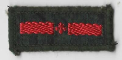 UK Scout Badge GREEN Bdr. [INT461] | eBay