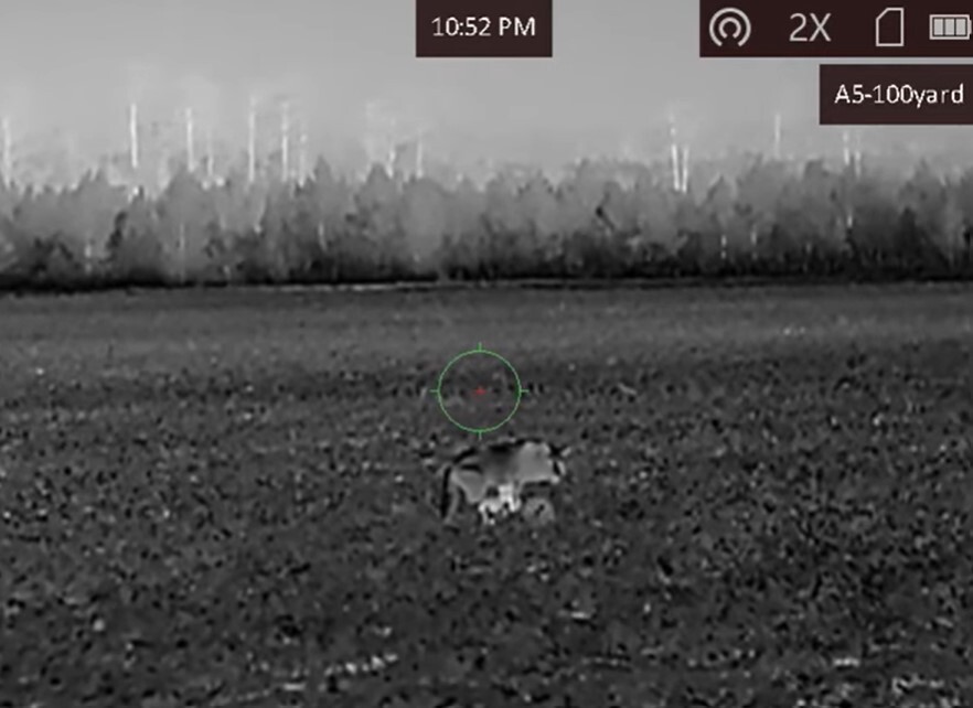 Custom-Made Remote Control Coyote Hunting Decoy - Silent, High Ground ...