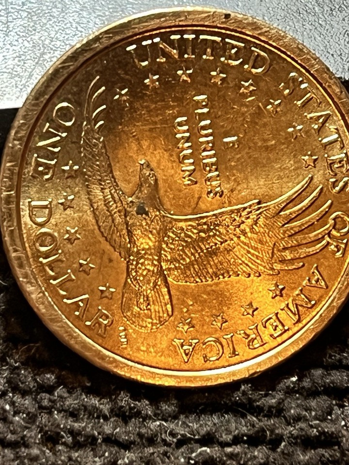 2000 p sacagawea dollar coin wounded eagle | eBay