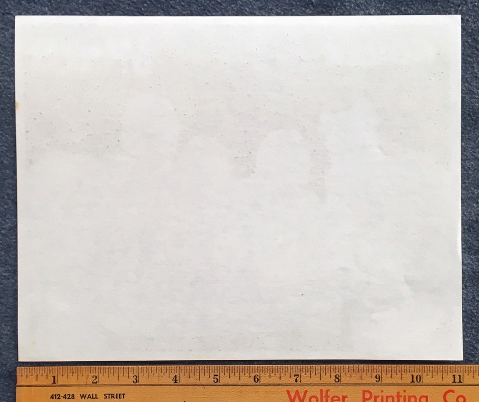 1979 Flyer Novak Mabuhay Gardens SF New Wave Punk Rock Dumb Records | eBay