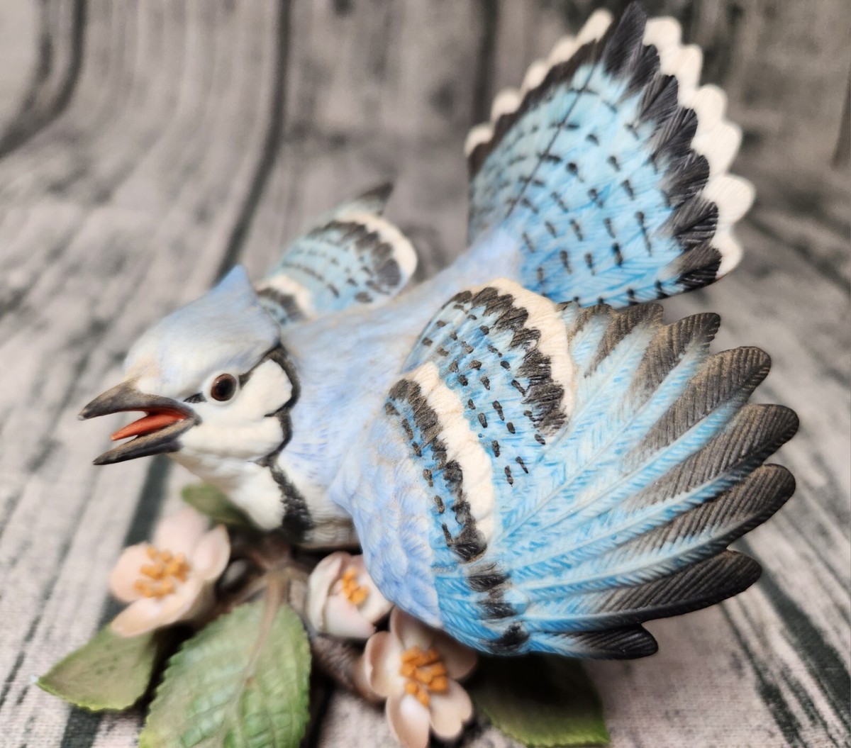 Blue Jay Wings Spread