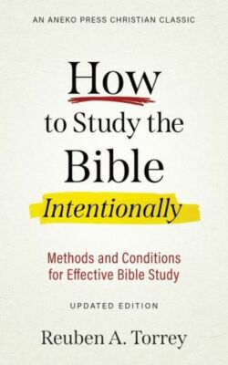 How To Study The Bible Intentionally: Methods And Conditions For ...